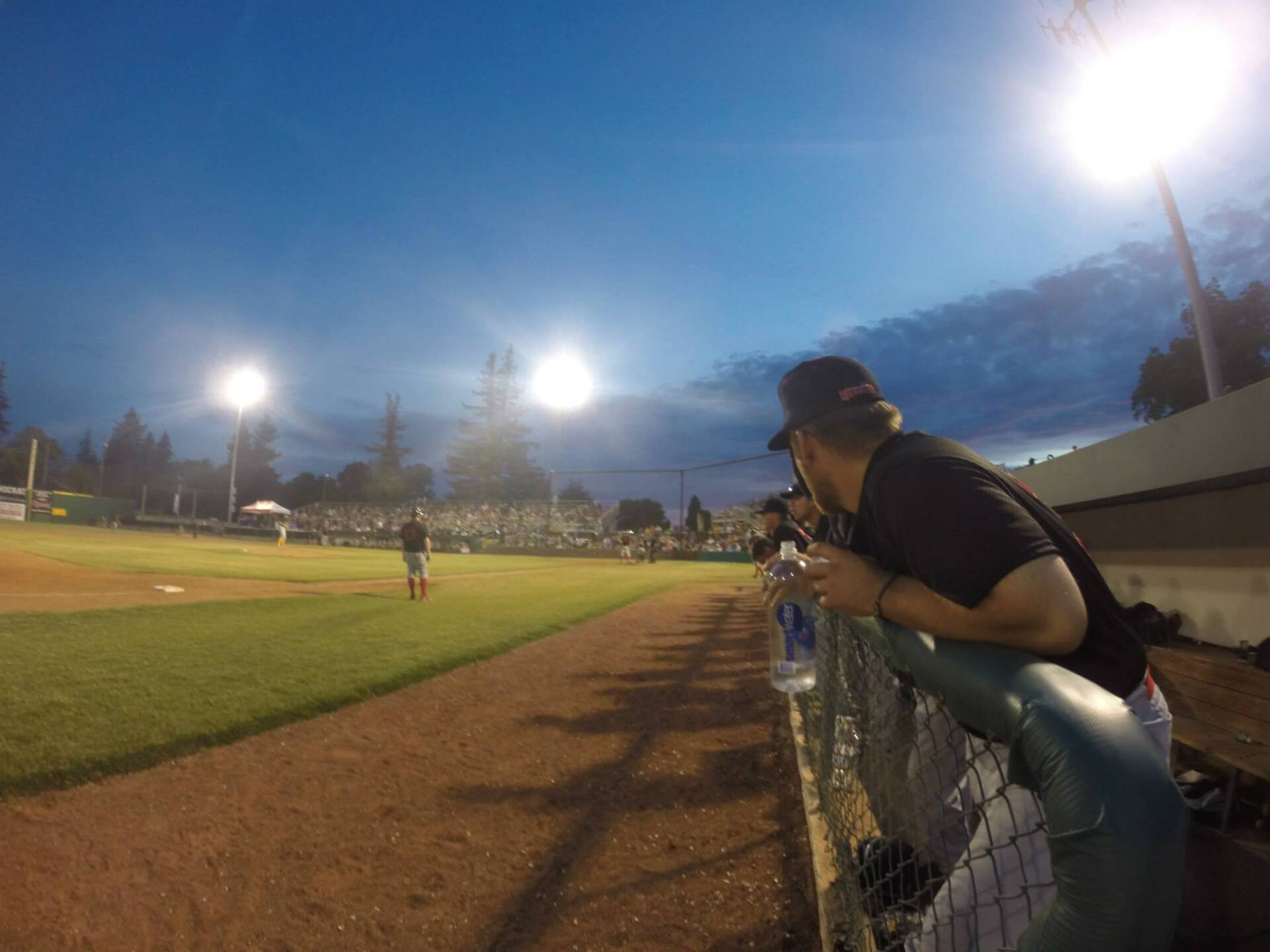 Bay Area Collegiate Baseball League