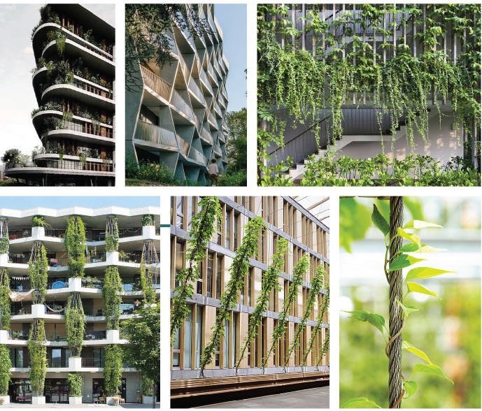 Masterplan | Darwin Waterfront Precinct