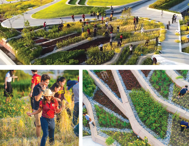 Masterplan | Darwin Waterfront Precinct