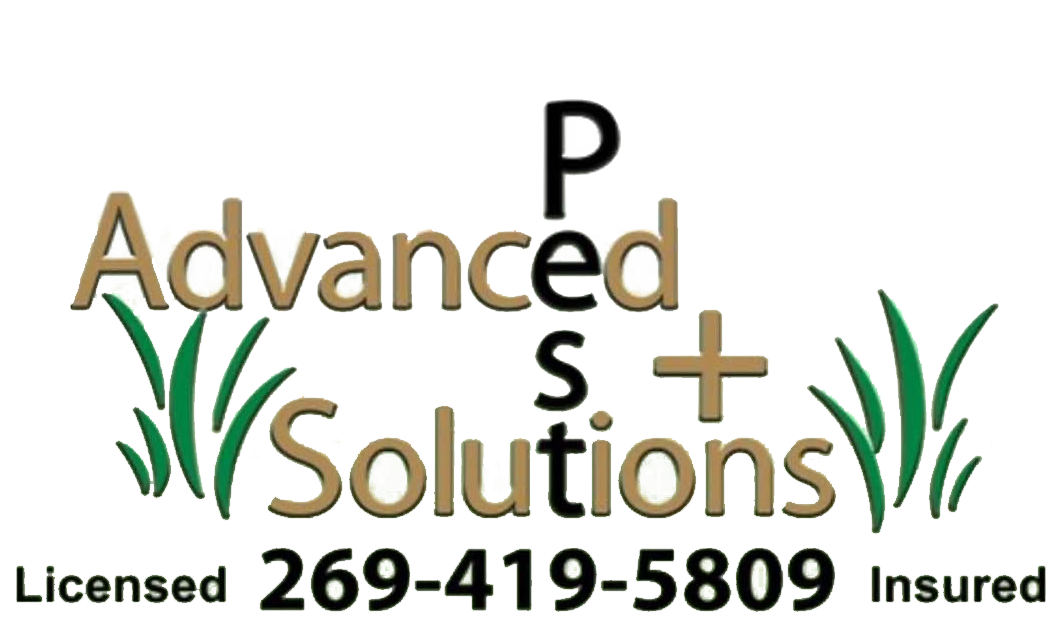 Termite Services; Bug Control | Battle Creek, MI | Advanced Pest ...