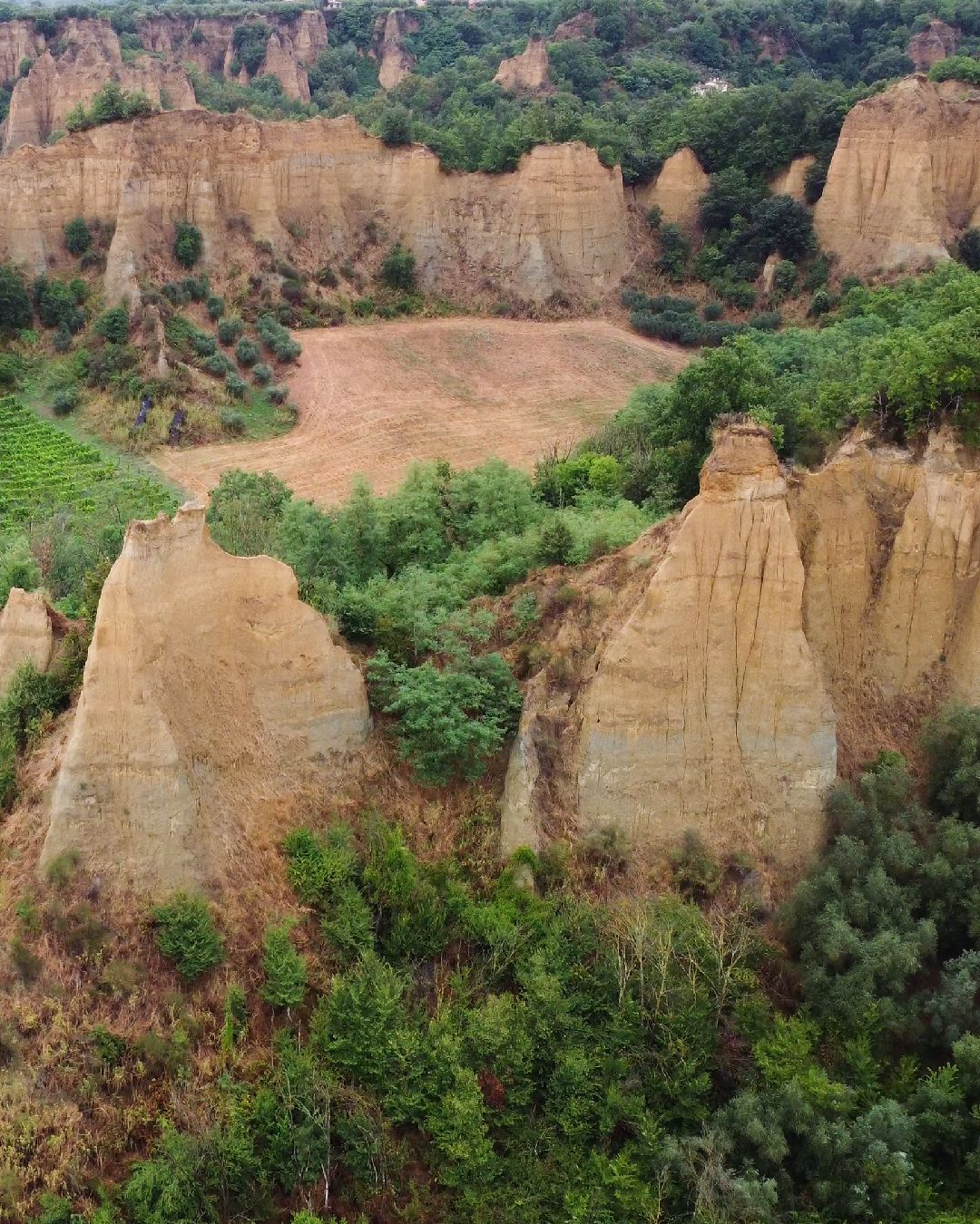 Dove vedere le Balze del Valdarno