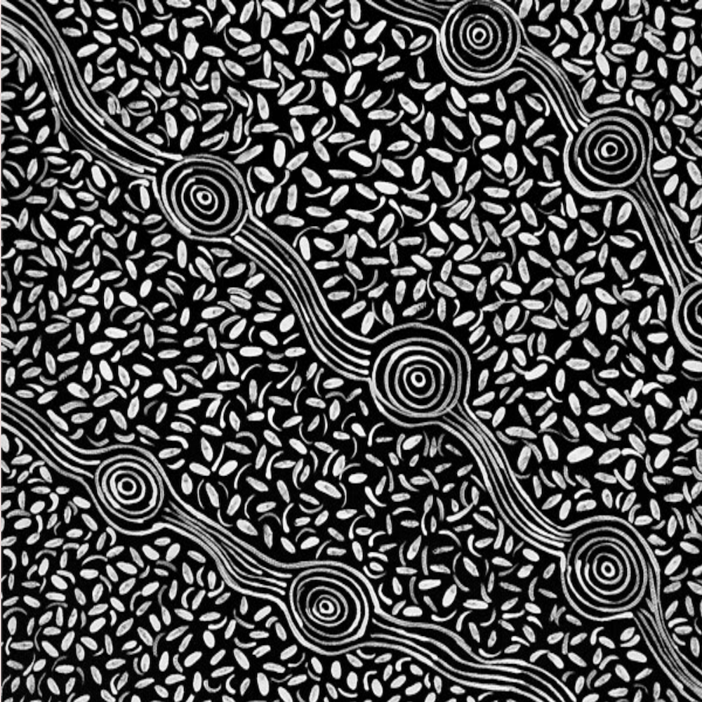 Aboriginal Artists | Cheeditha Art Group | Australia