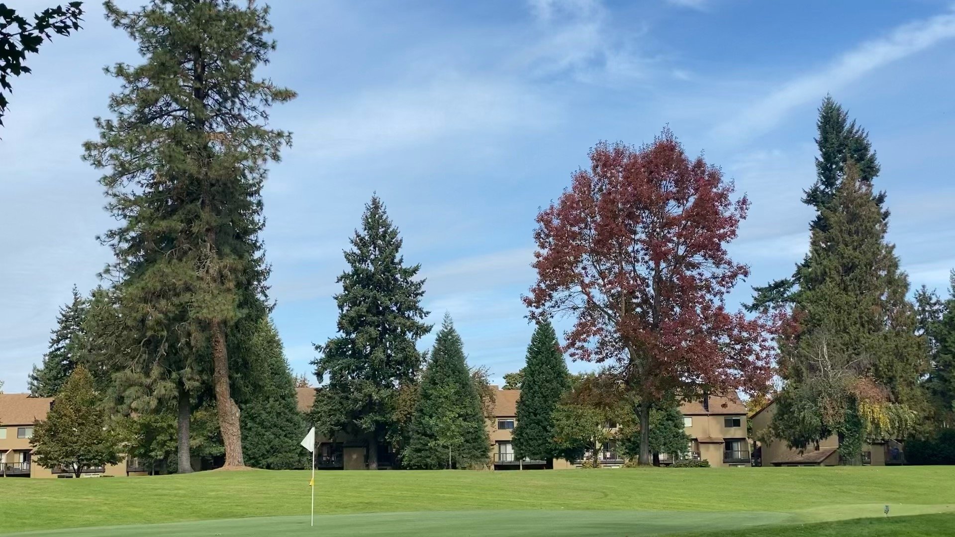 Home | Northgreen Apartments | Eugene, OR