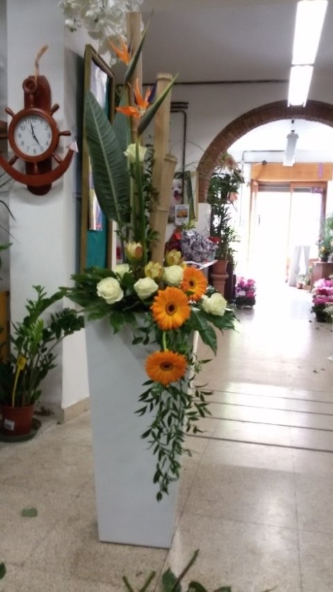 Composizioni | Rufina, FI | Laura Righi Fiori e Piante