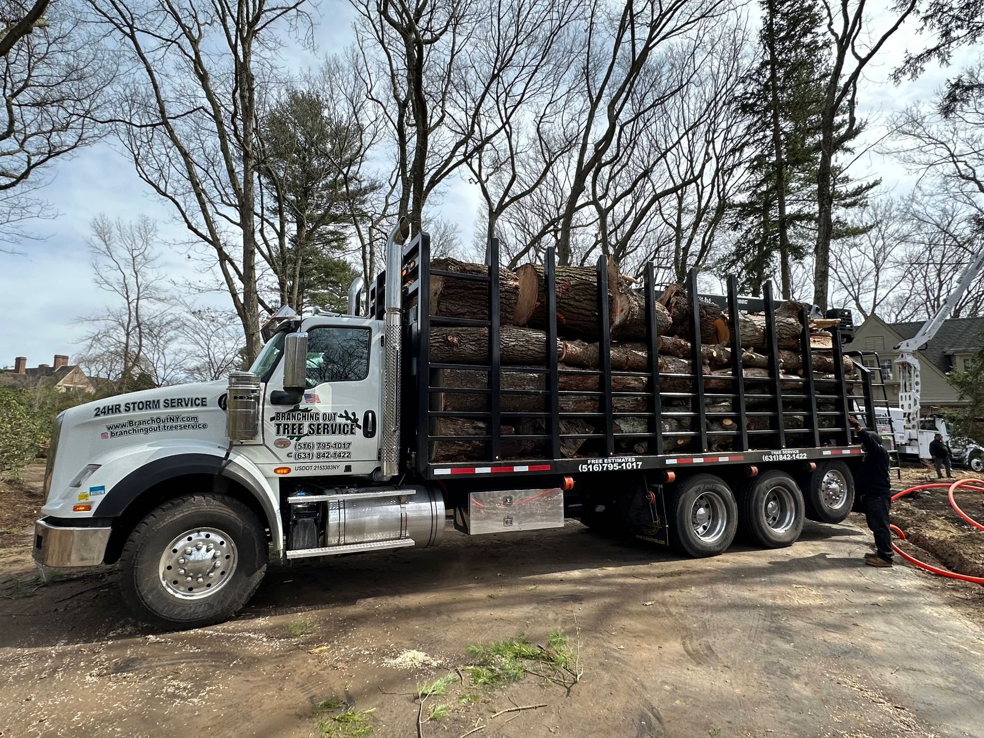 Gallery Photos Branching Out Tree Service | Before/After | Equipment