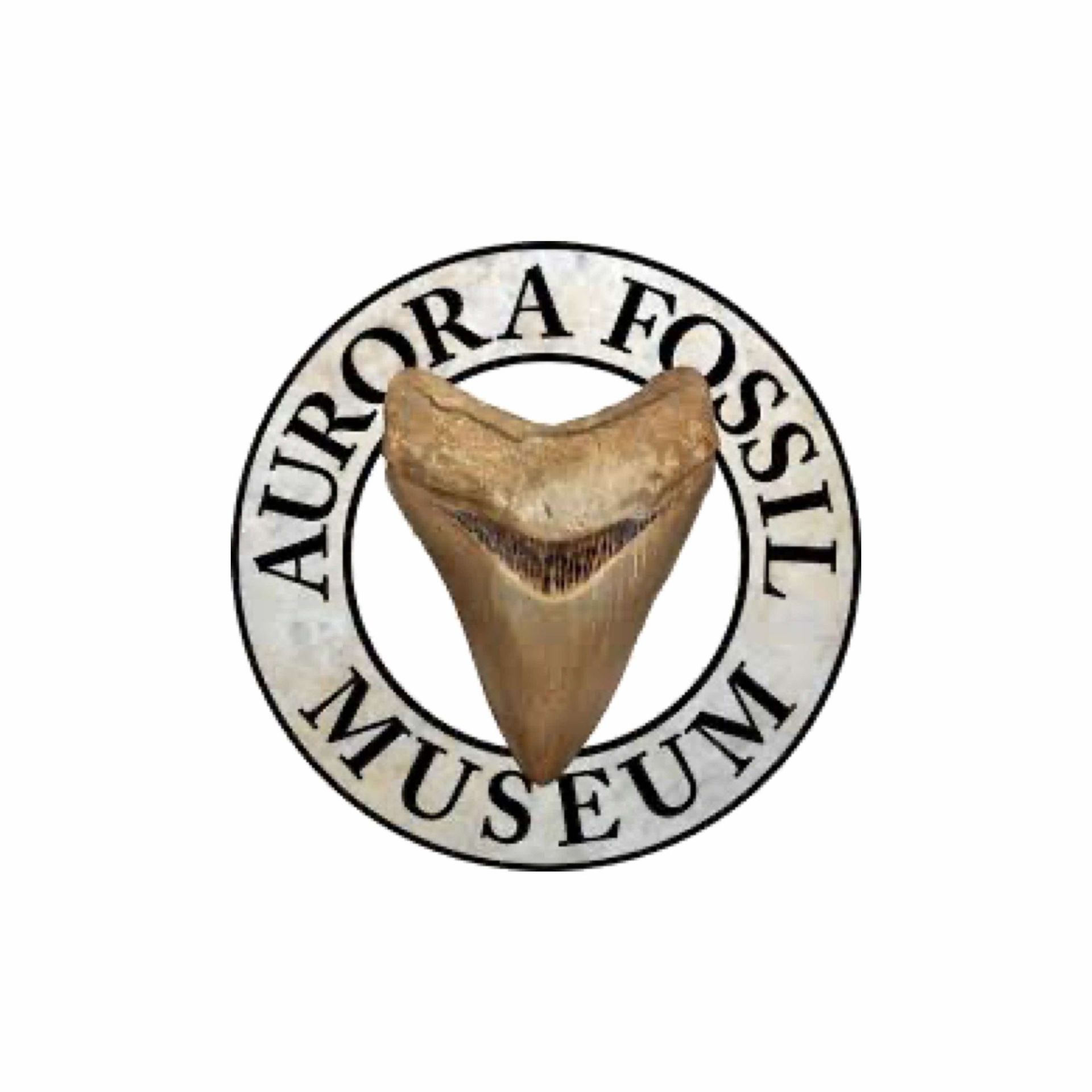 Aurora Fossil Museum | Aurora NC Attraction