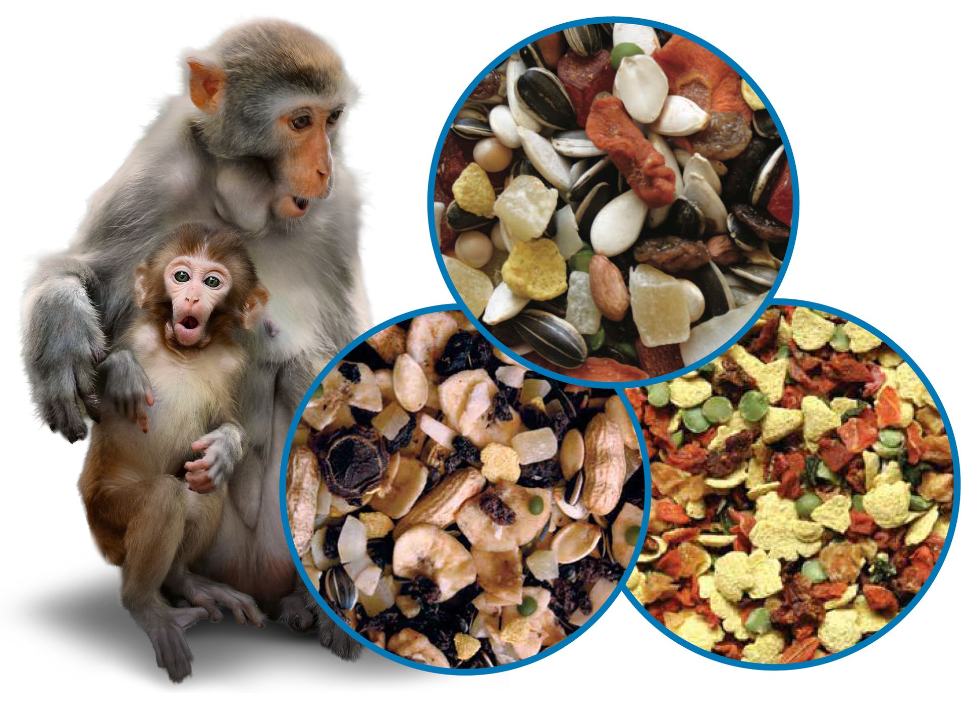 Home [www.animalspecialties.biz]