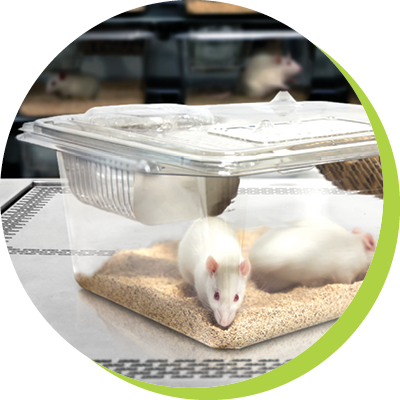 Home [www.animalspecialties.biz]