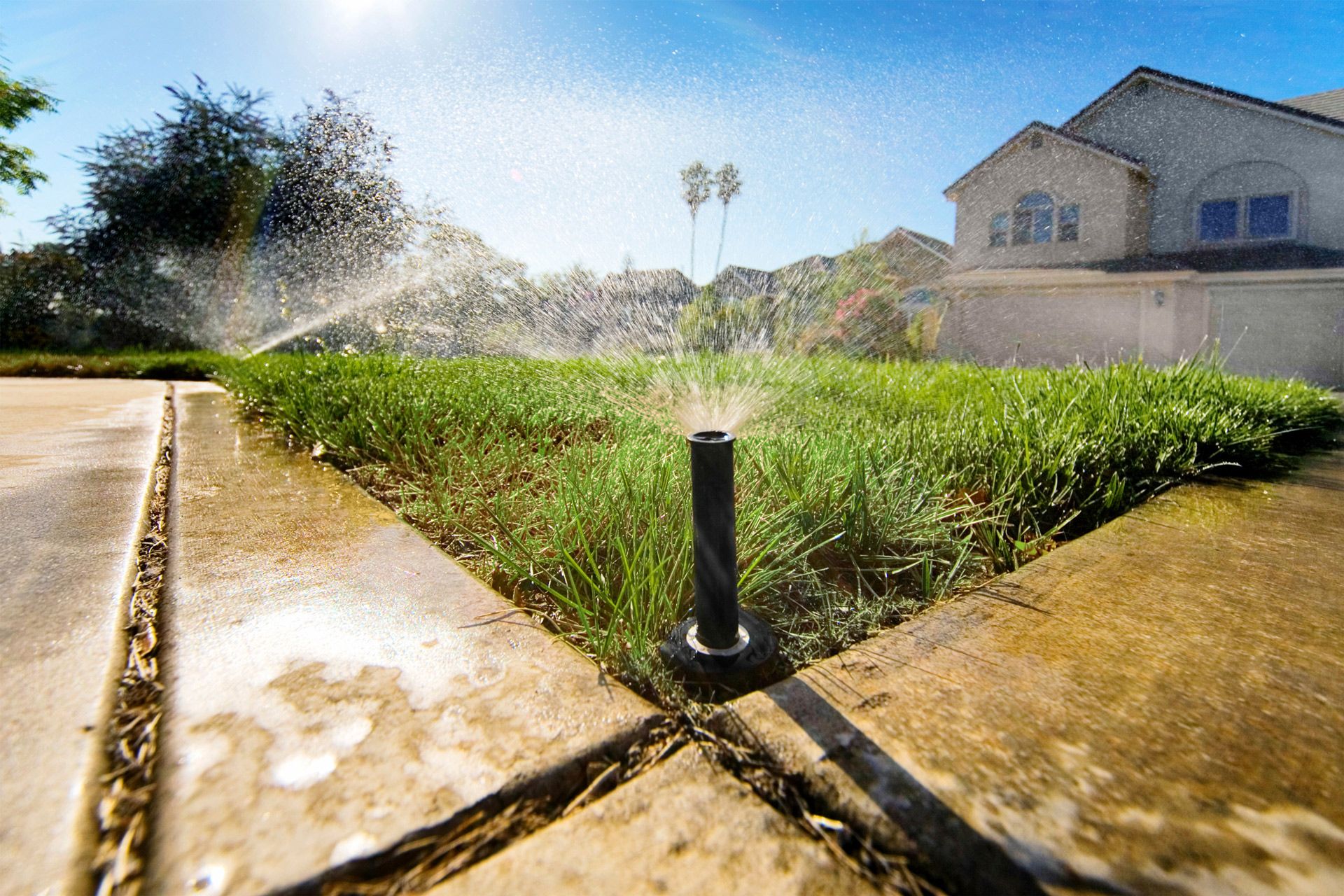 Residential Irrigation Systems | Port Charlotte, FL