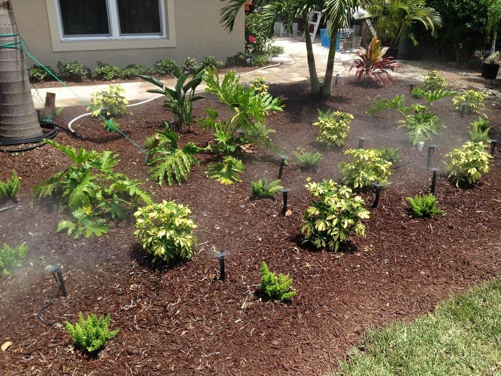 Irrigation Photos | Port Charlotte, FL | American Irrigation