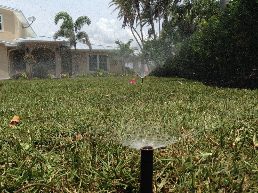 Irrigation Photos | Port Charlotte, FL | American Irrigation