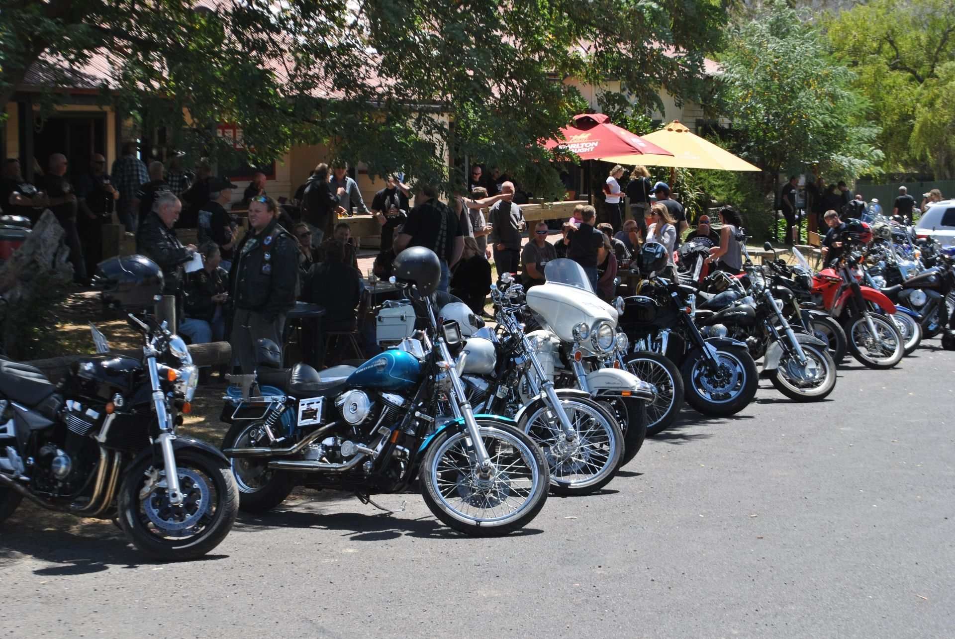 Experience The Best of Country Excellence in Flowerdale