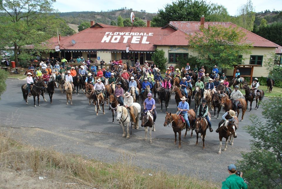 Experience The Best of Country Excellence in Flowerdale