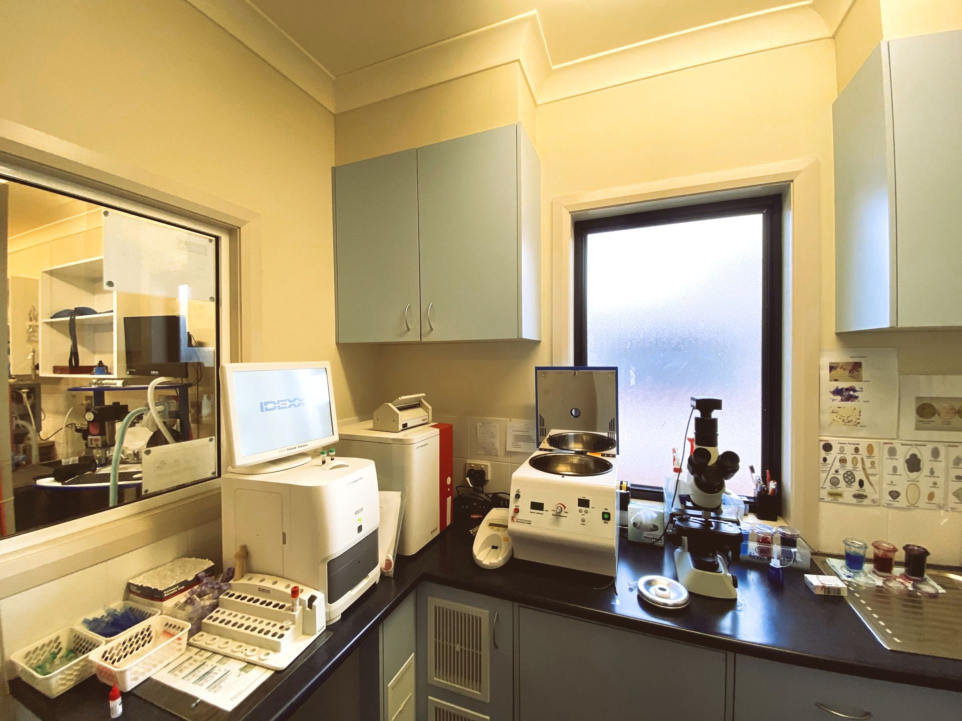 About Us | Macleay Valley Veterinary Services