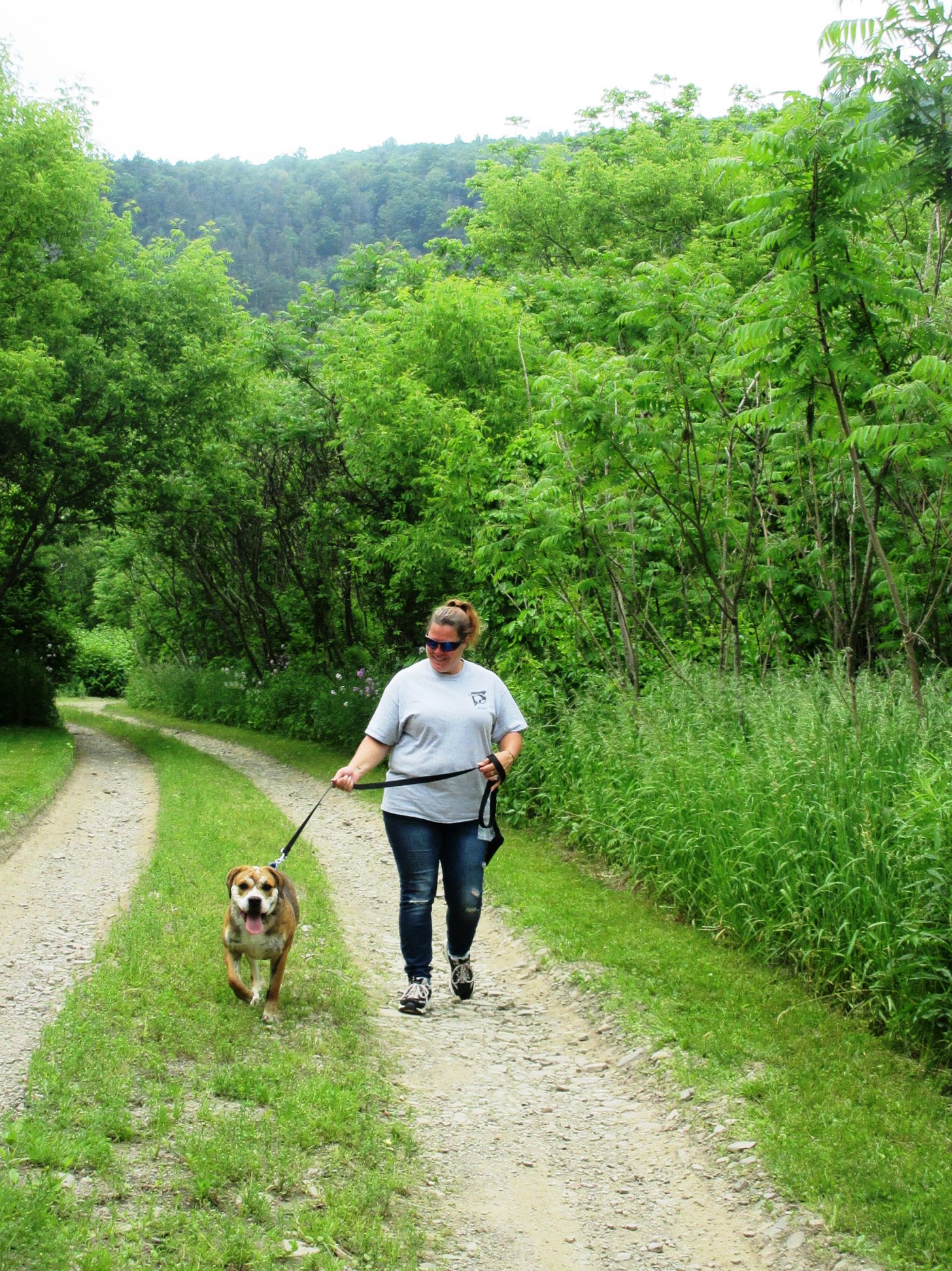 Pulling on the Leash