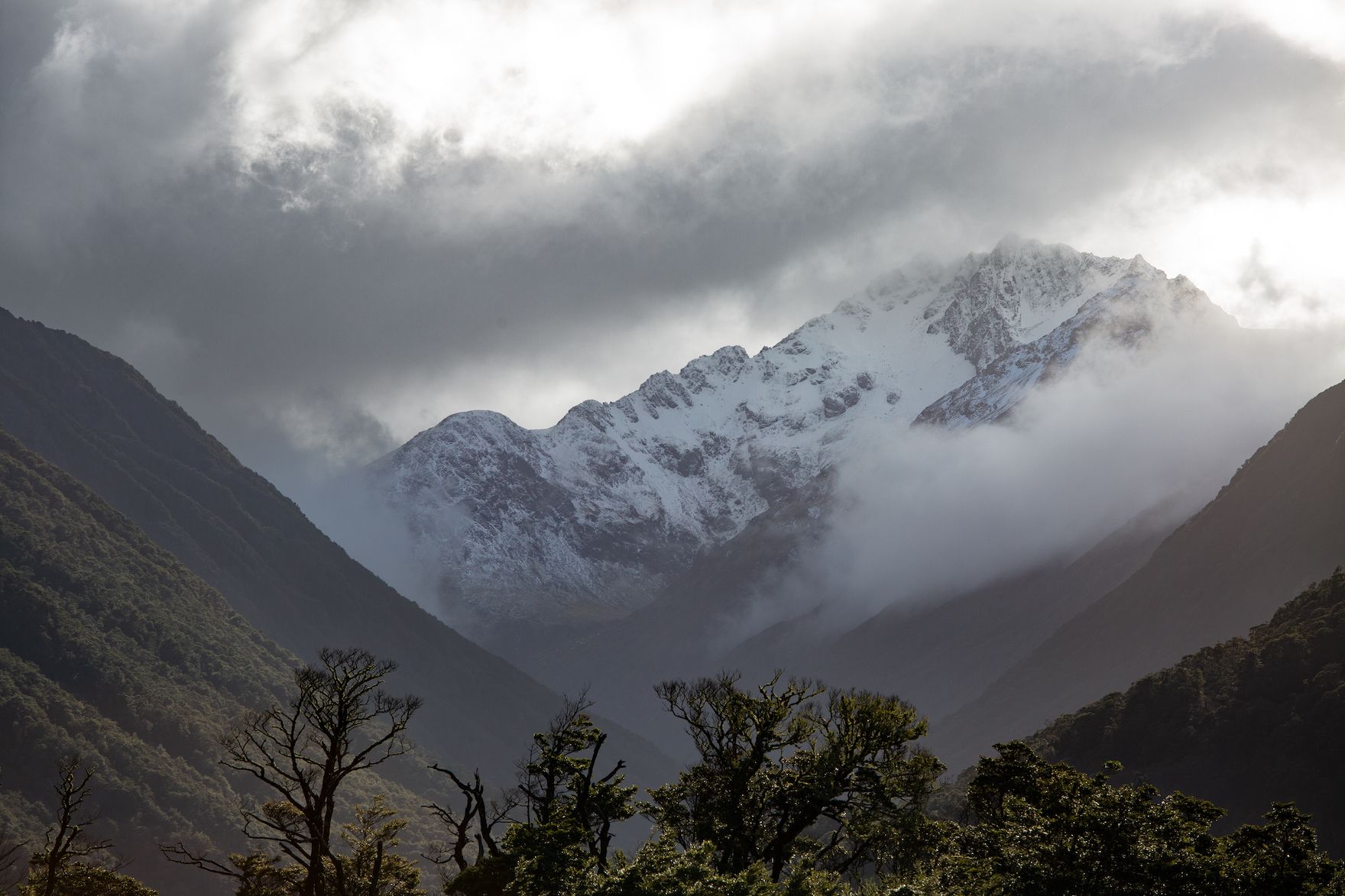 Pounamu Craftsmanship | Moko Pounamu | New Zealand