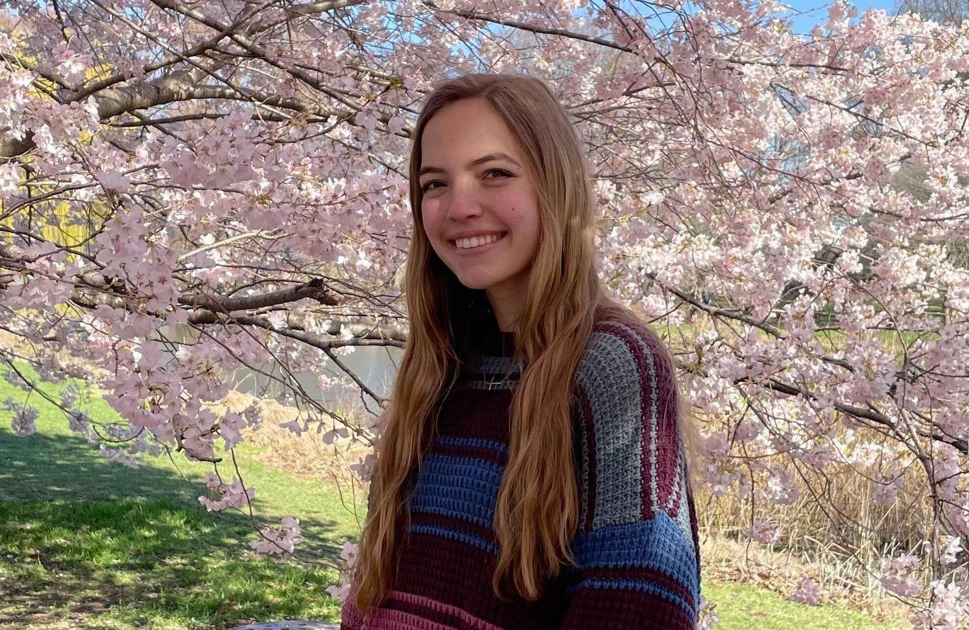 About | Illini Solar Car