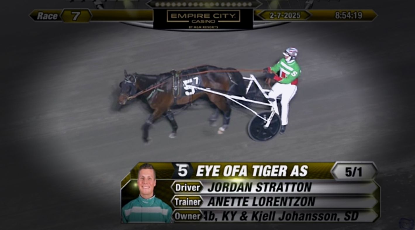 Eye Ofa Tiger As latest horse to become millionaire
