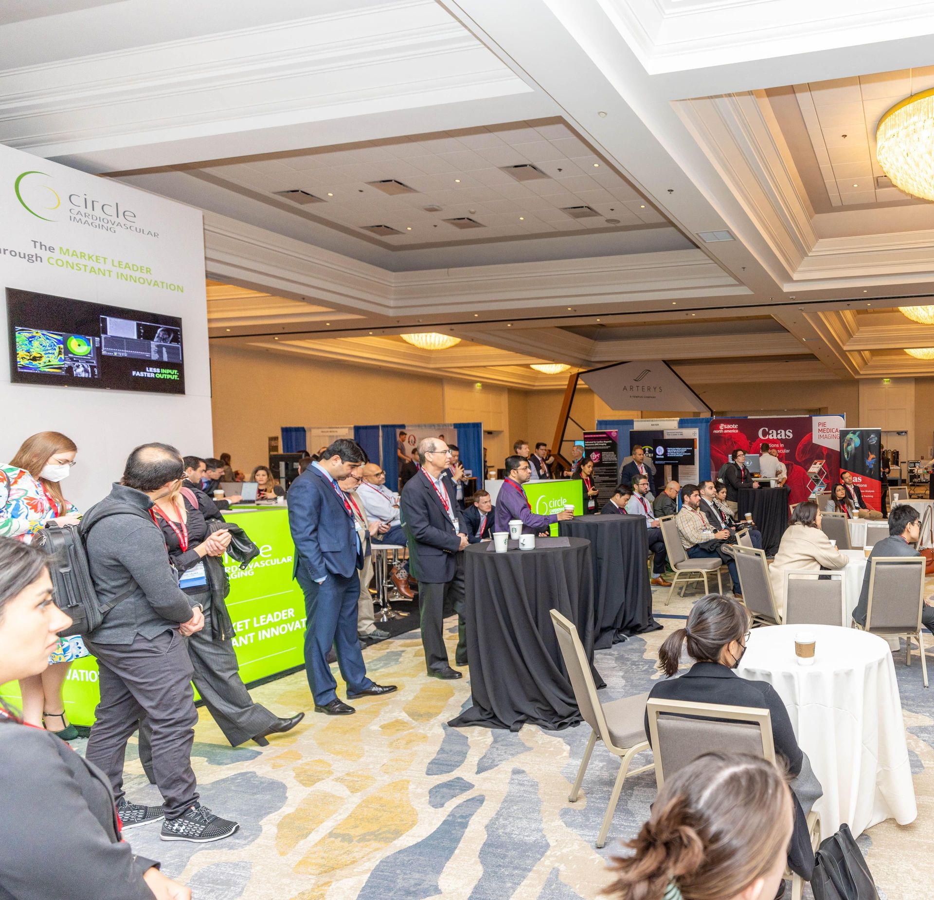 Cardiovascular Imaging Software | Circle CVI | Global