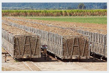 Home [www.sugartrader.co.uk]