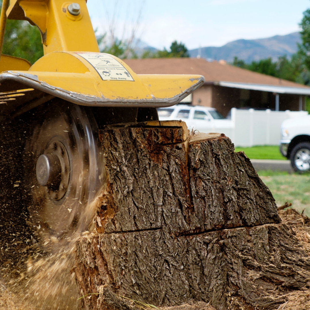 Tree Pros Inc. - Top Rated Tree Service - Chino, California