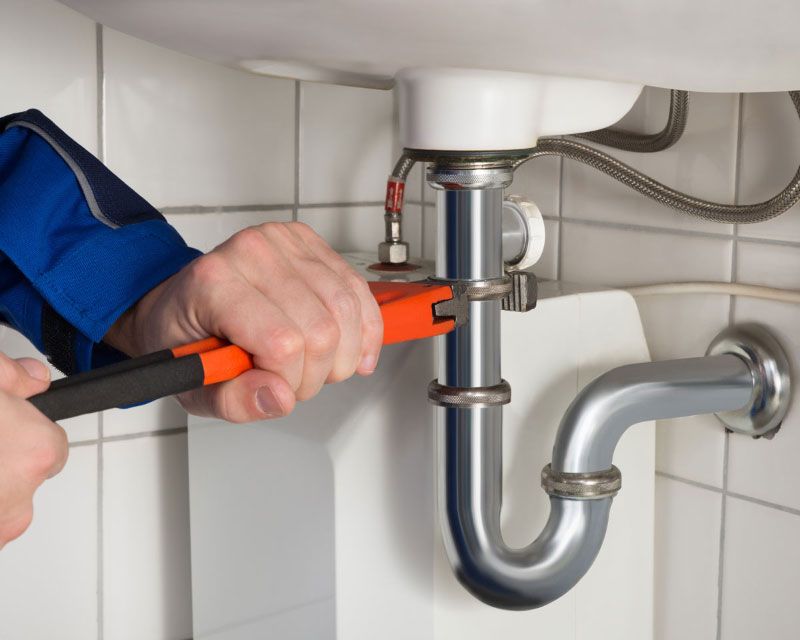 The Drain Daddy | Local Plumber | Orlando, FL