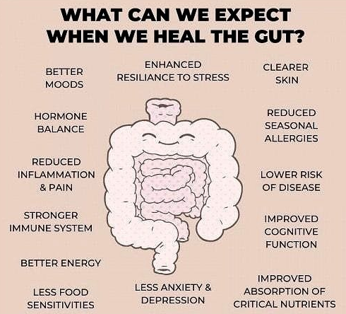 Gut Health Test & Check | Gut Microbiome Check | Whitby