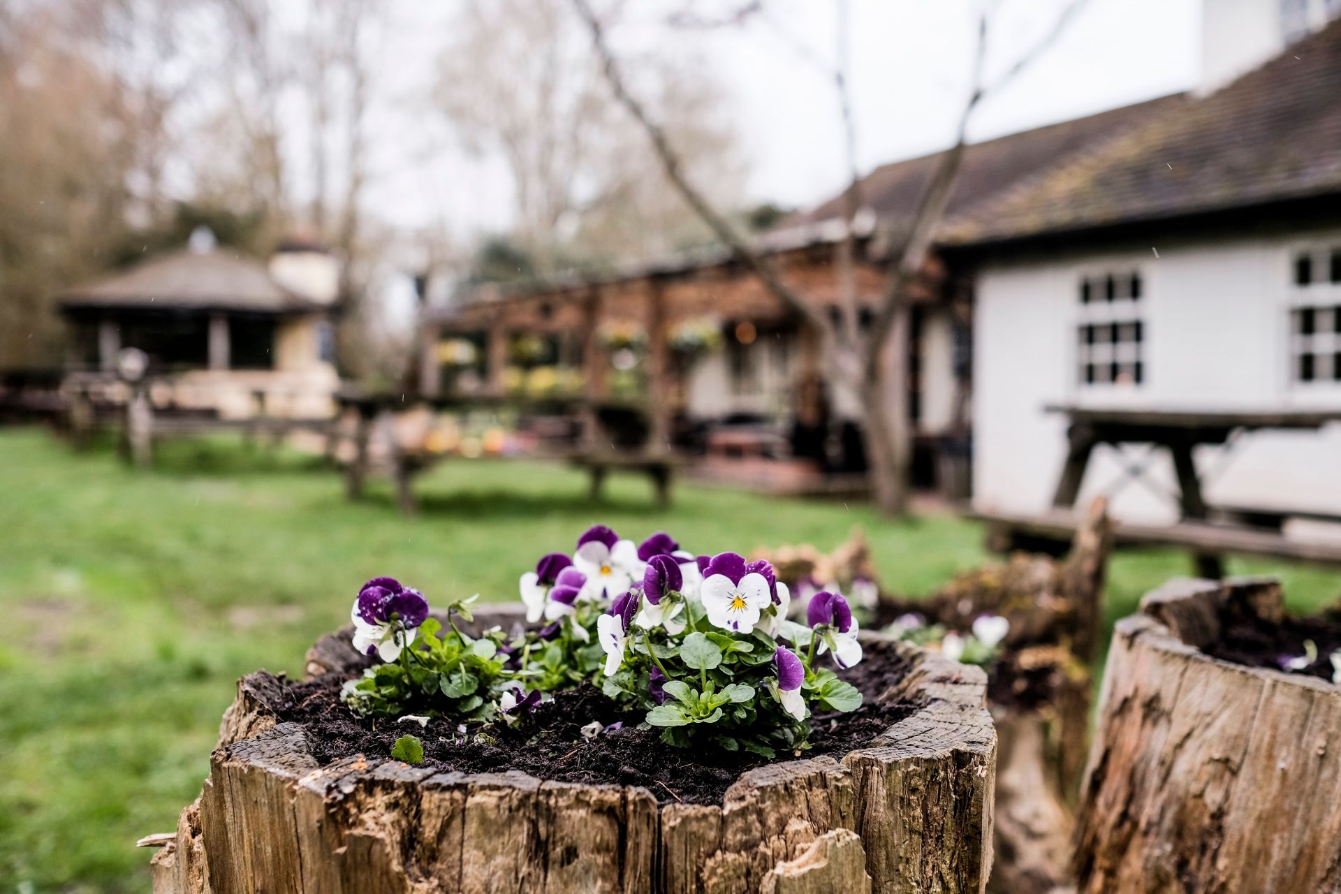 Interactive Gallery | The Jolly Farmer