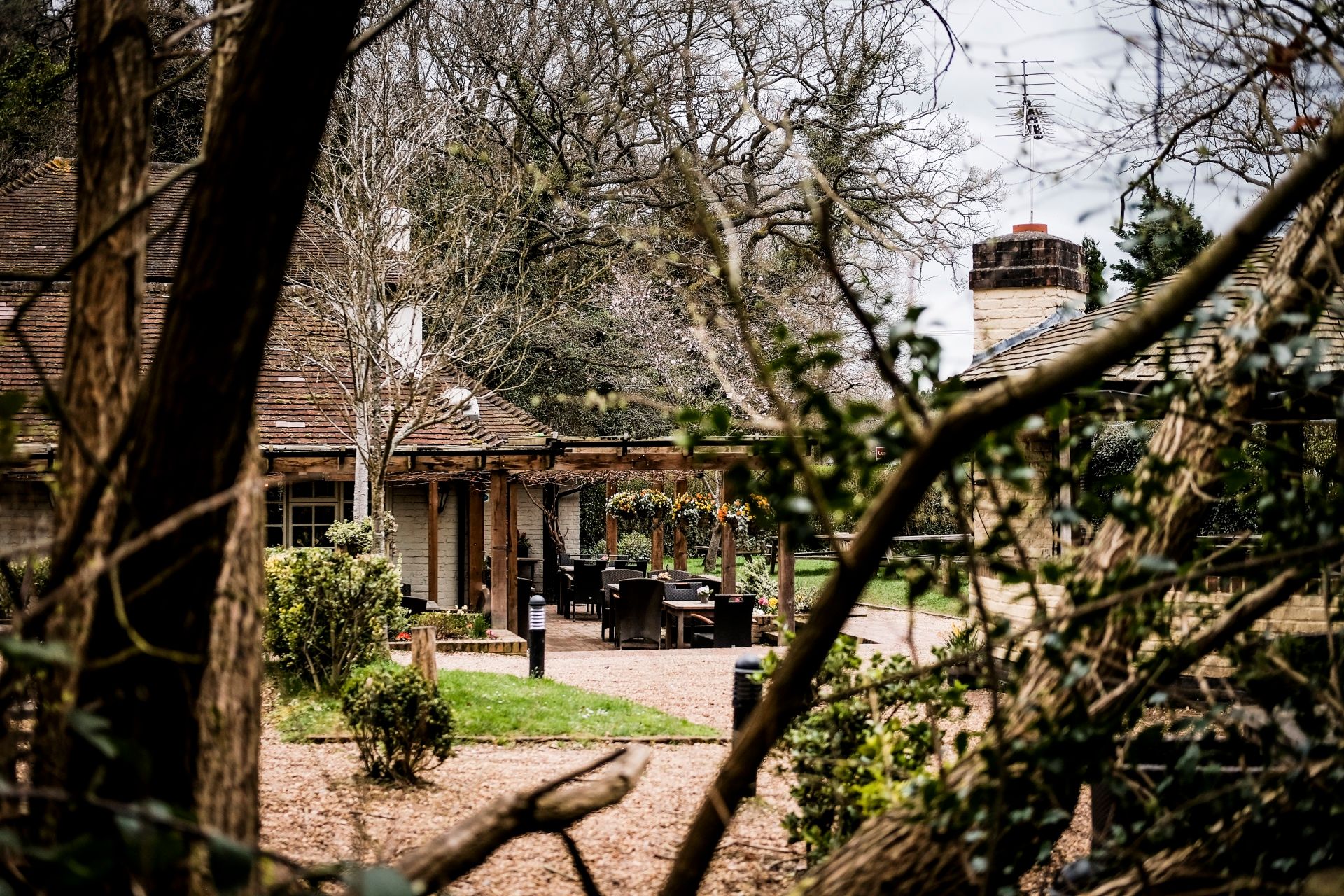 Interactive Gallery | The Jolly Farmer