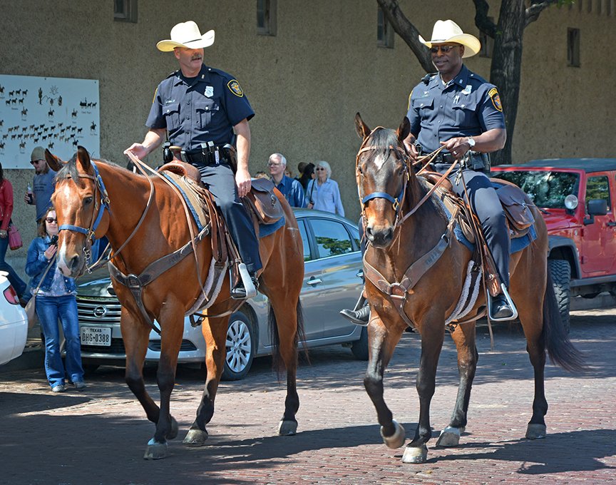 Back Defense Systems | The Back Defender