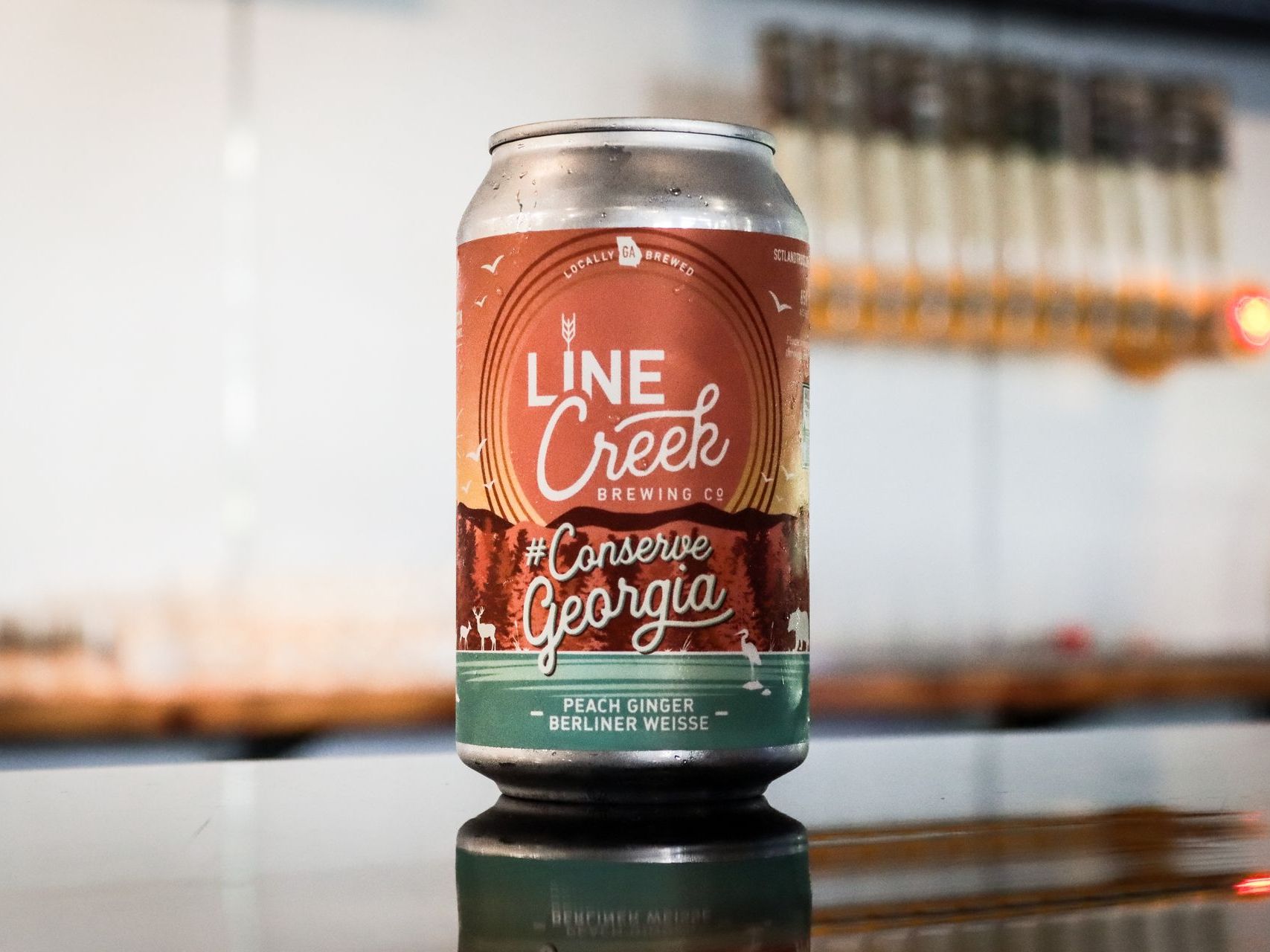 Environmental Conservation | Southern Conservation Trust | Fayette Co.