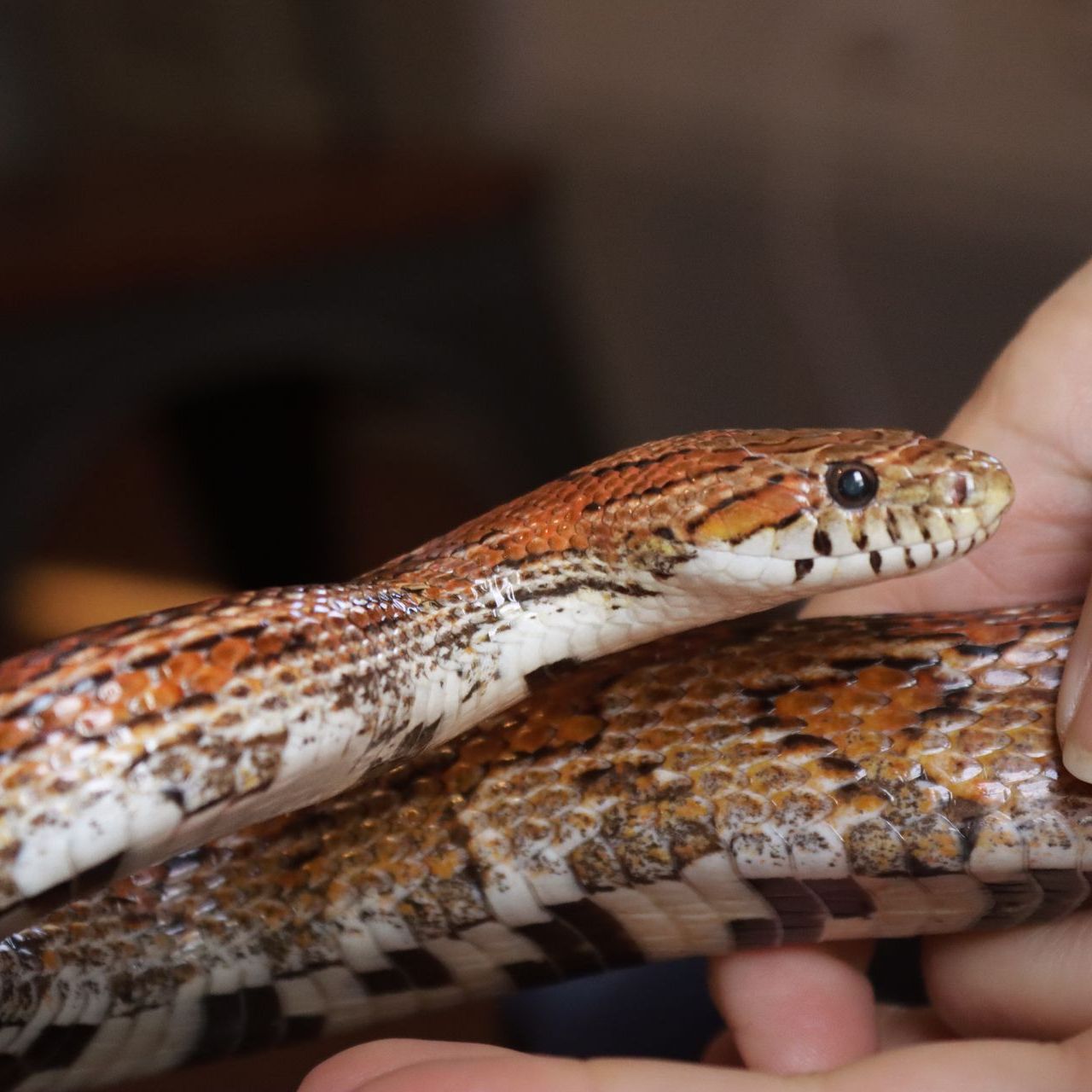 Fayette Environmental Education Center | Atlanta