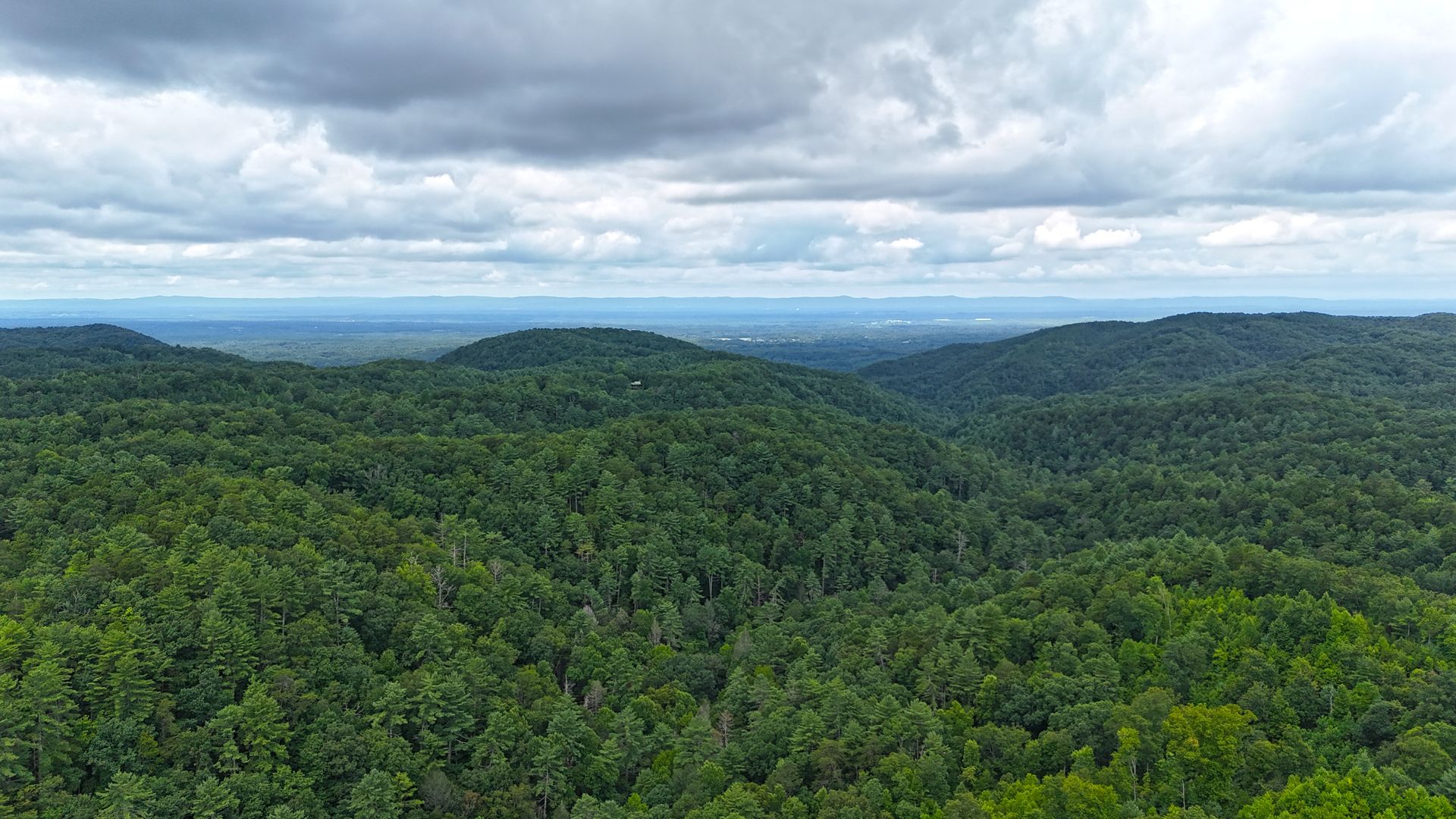 Southern Conservation Trust Expands Sugar Creek Hollow Preserve ...