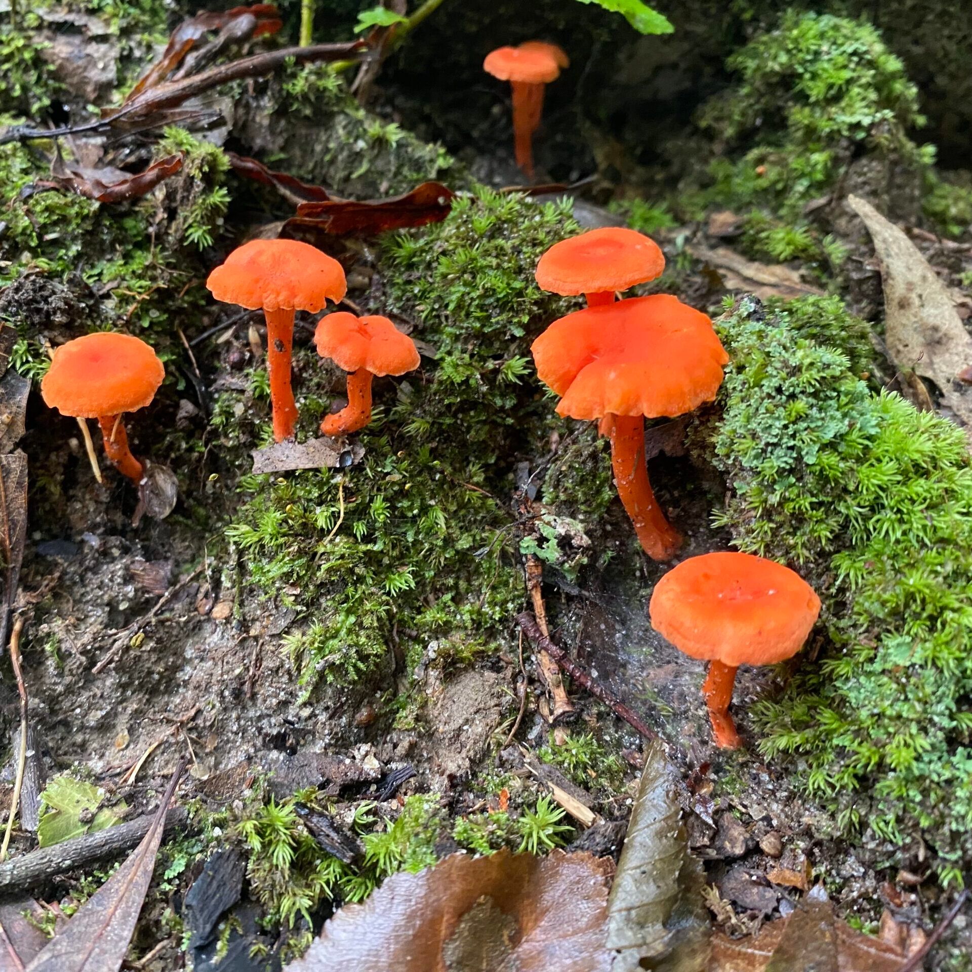 Field Trips | Southern Conservation Trust