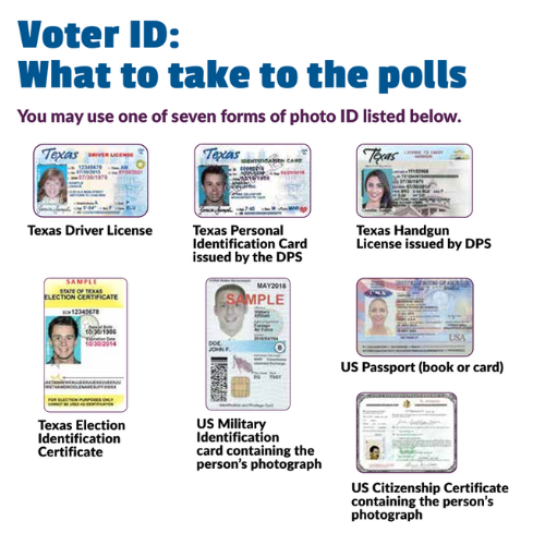 Voting & Election Information