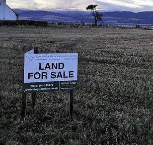 Dingwall HIghland Marts - Your Local Livestock Sales