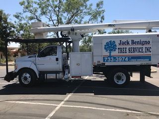 Tree Services, Pruning, Stump Grinding, Tree Removal