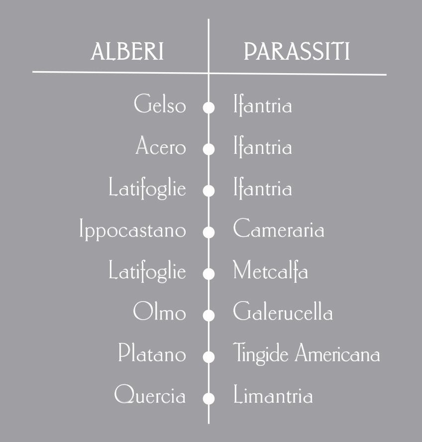 Trattamenti fitoterapici alberi - ISE Italiana Servizi Ecologici Srl