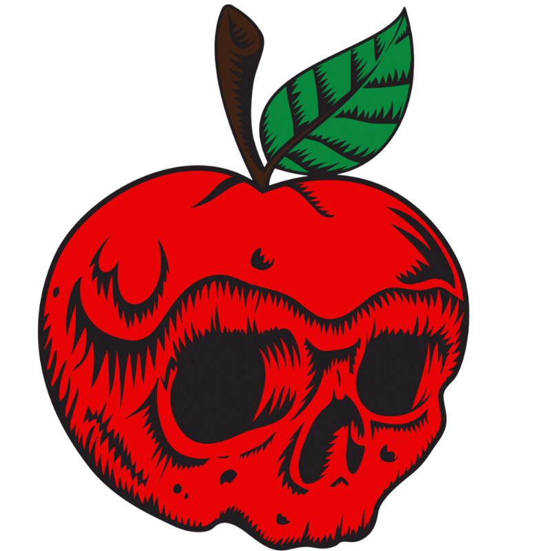 10th Planet Seattle | Bellevue, WA