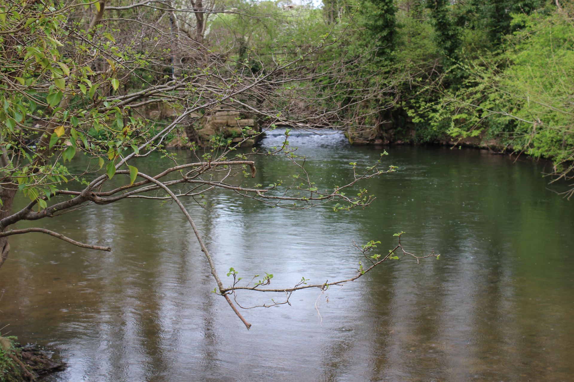 River | Chew Fly Fishing Club | River Chew