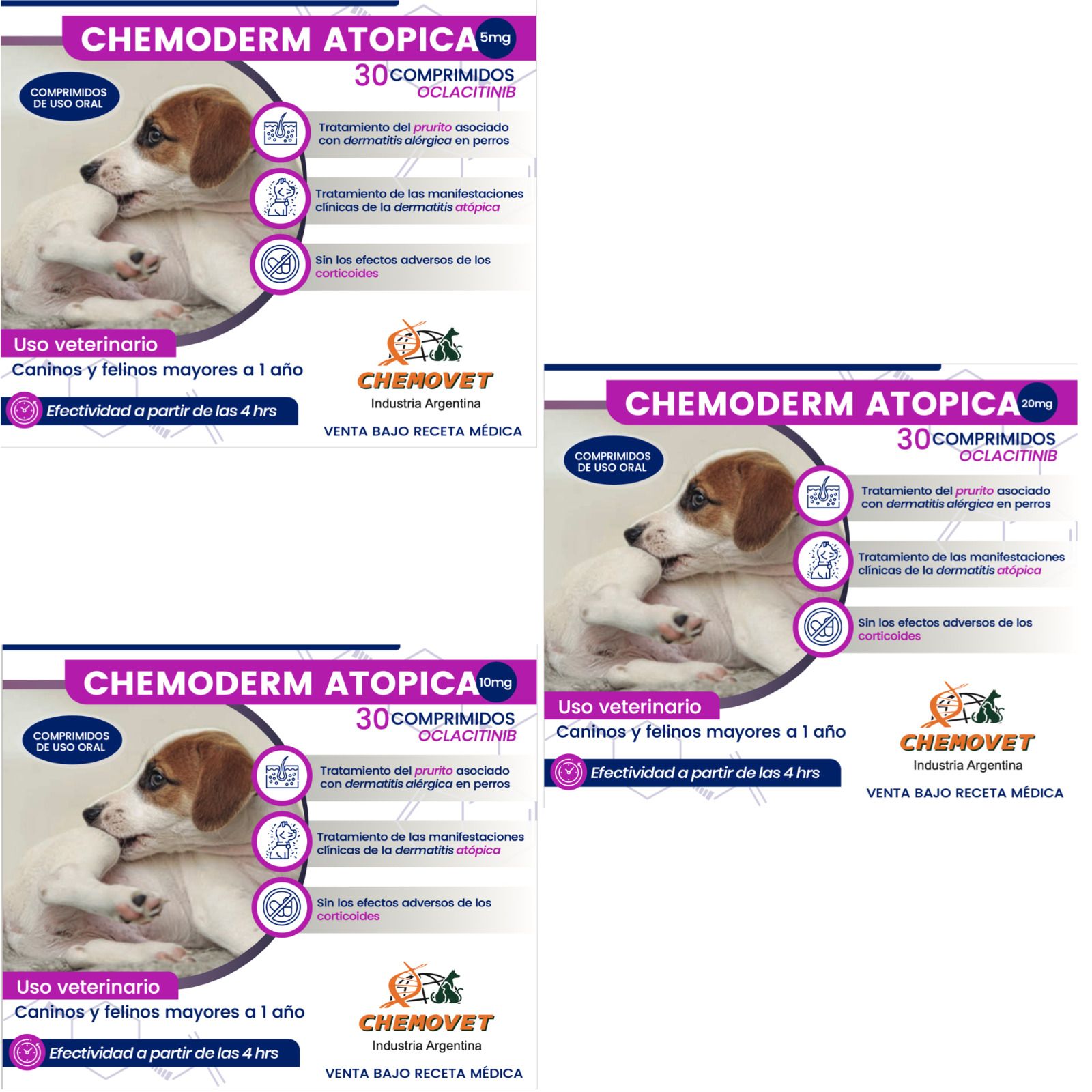 CHEMOVET- Líderes en Oncología Veterinaria