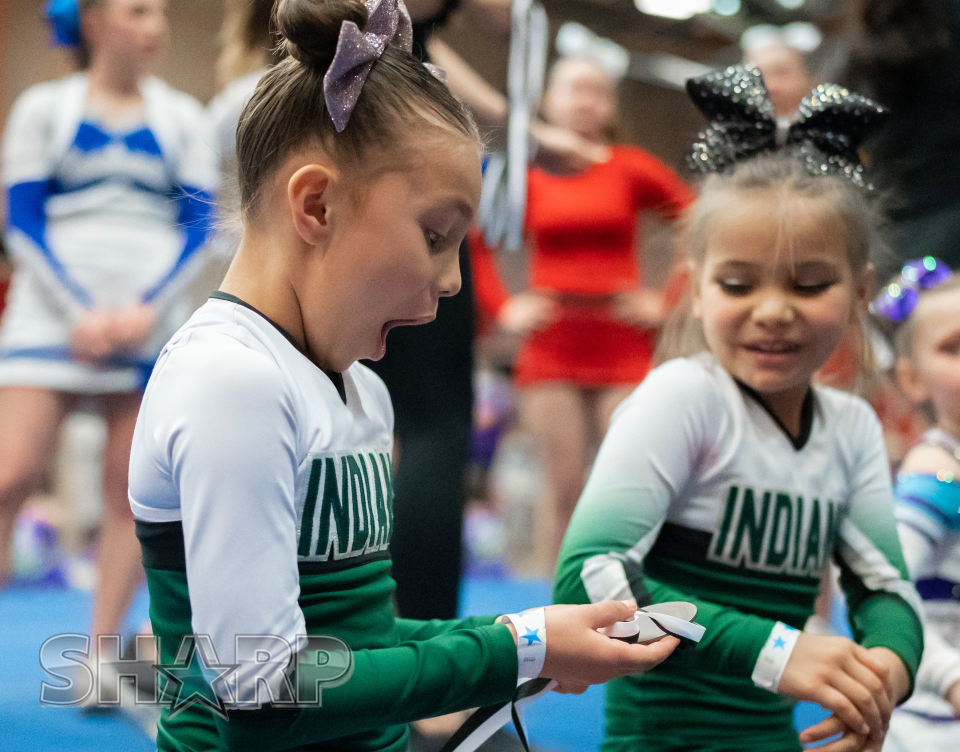 SHARP International #1 Camps Page