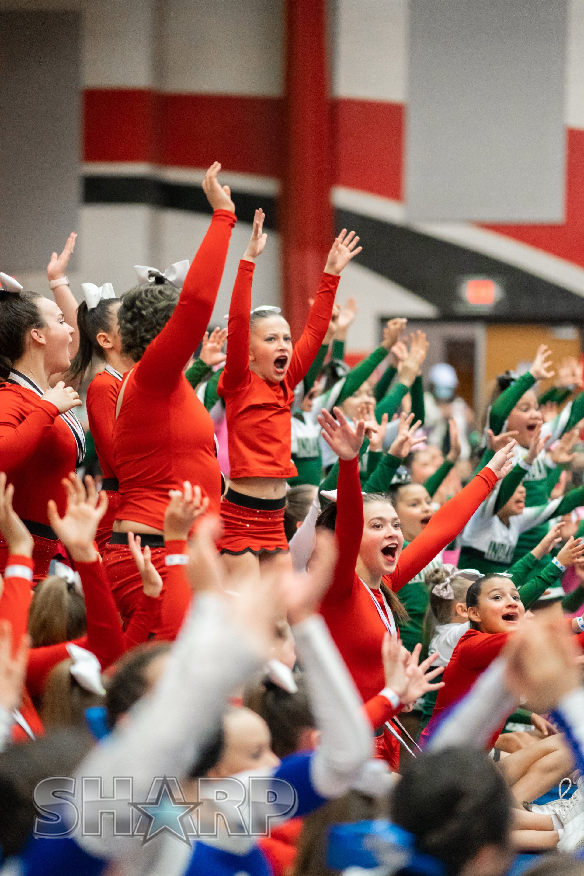 SHARP International #1 Camps Page