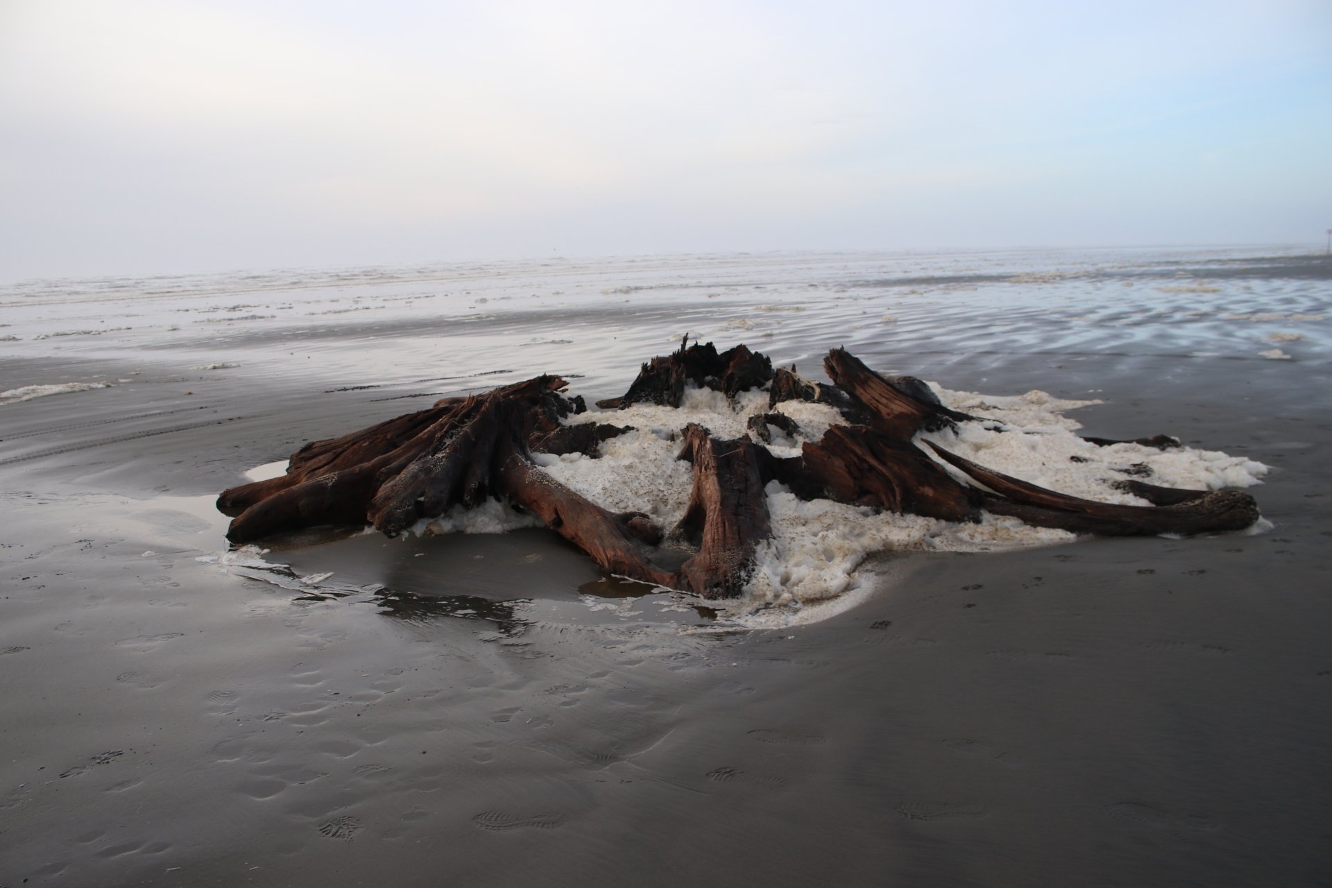 Outdoor Activities | Copalis Beach, Washington