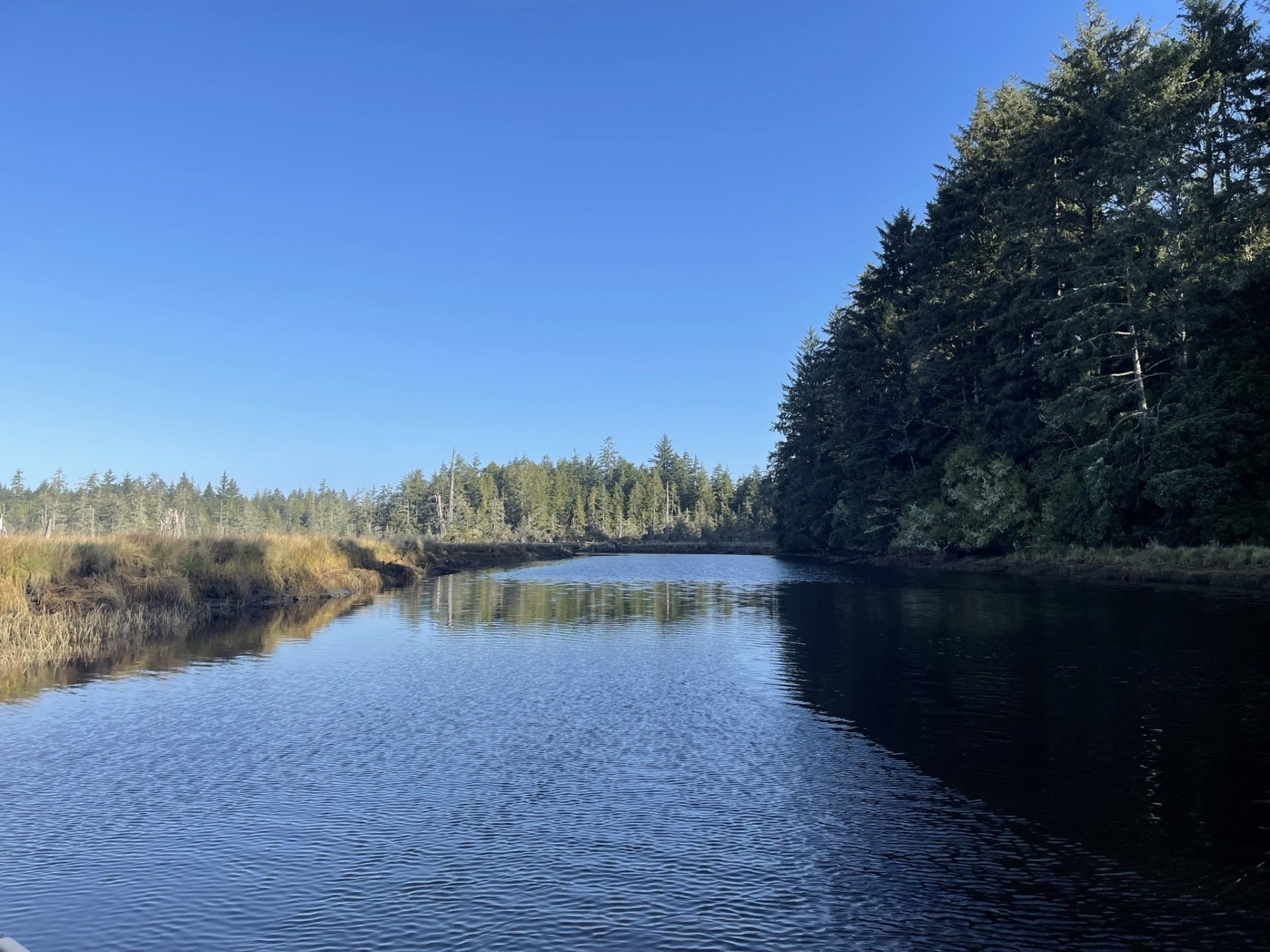 Outdoor Activities | Copalis Beach, Washington