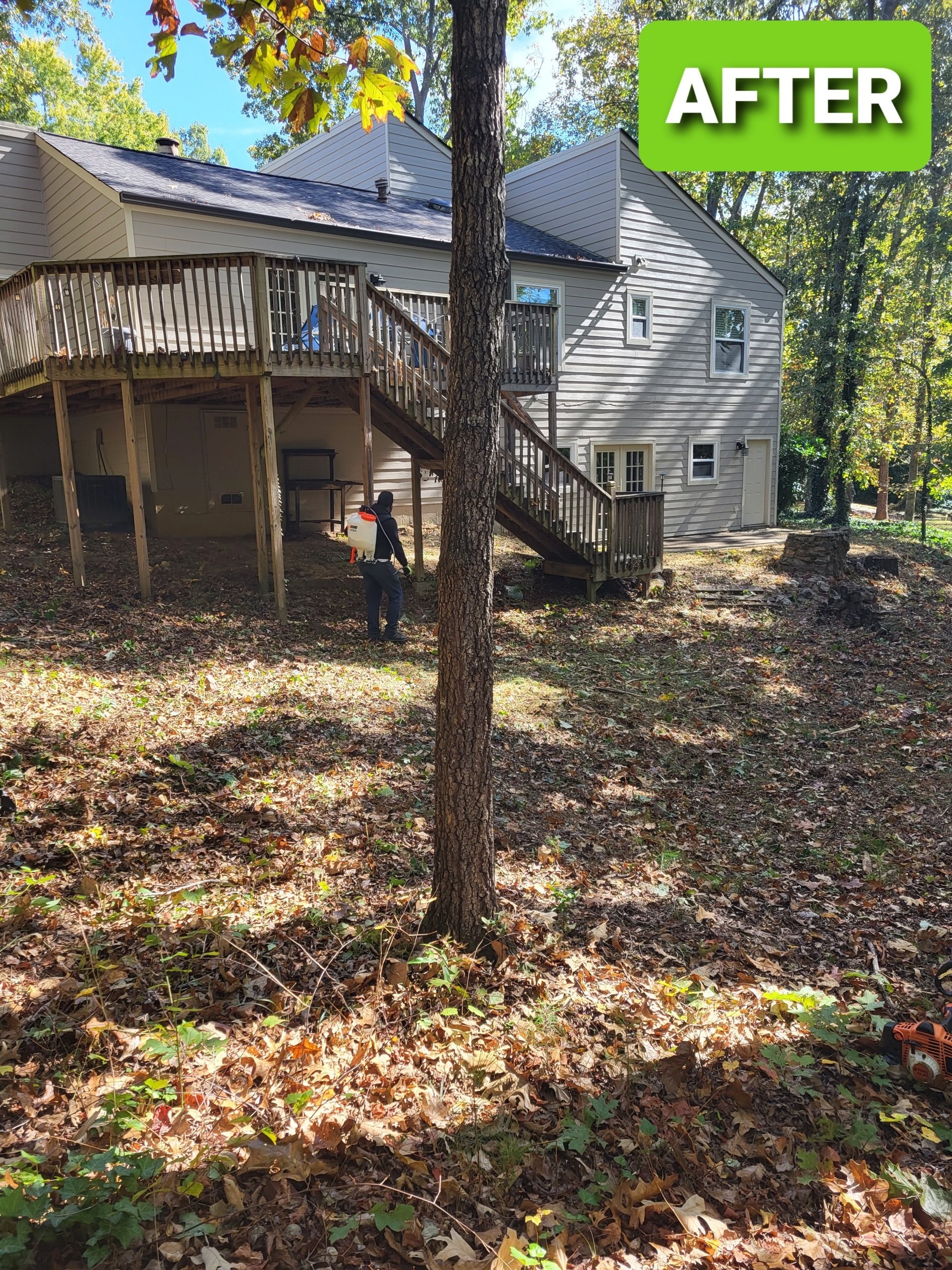 Home [www.backyardrestore.com]