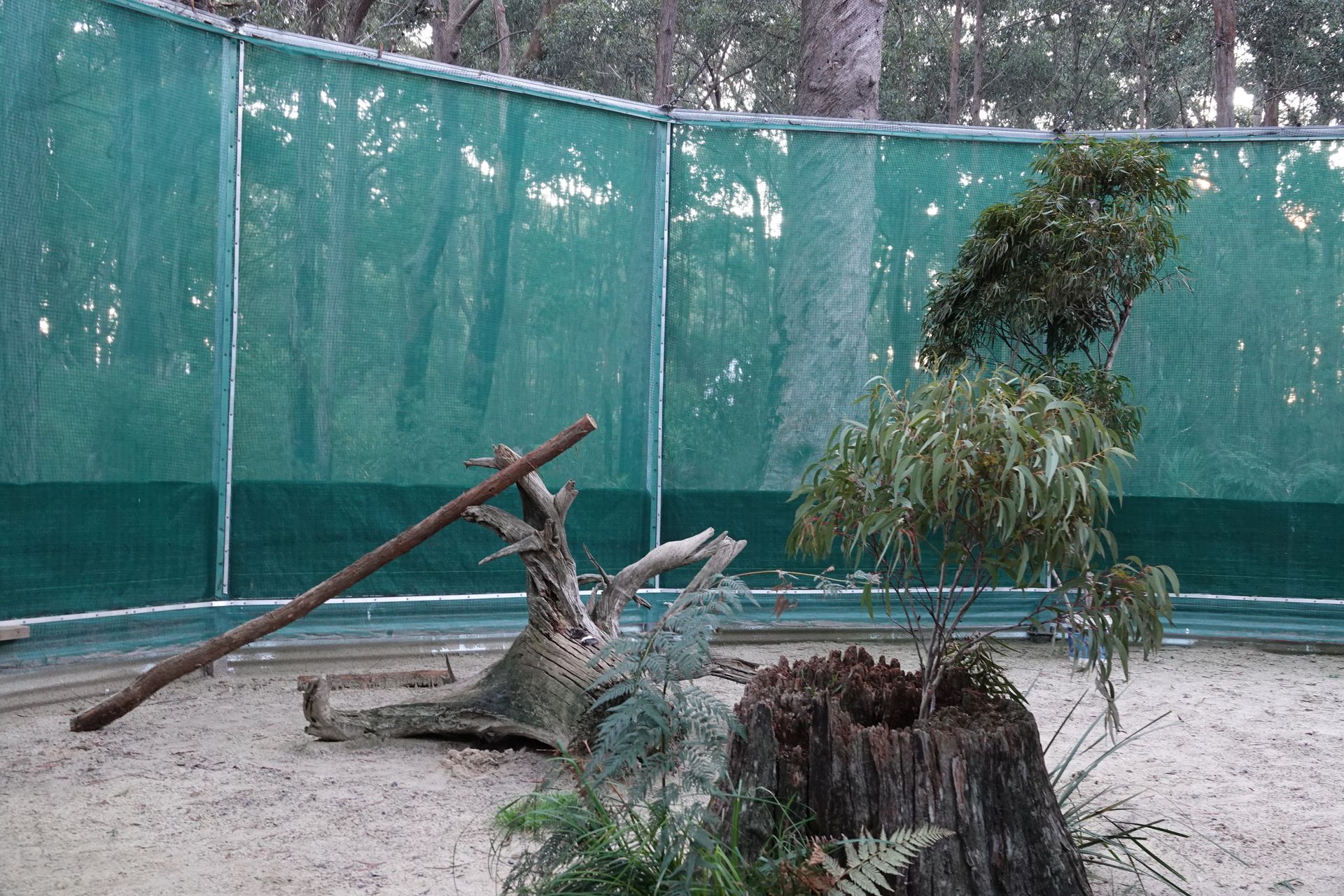 Aviary Design - Australian Raptor Care and Conservation Inc.