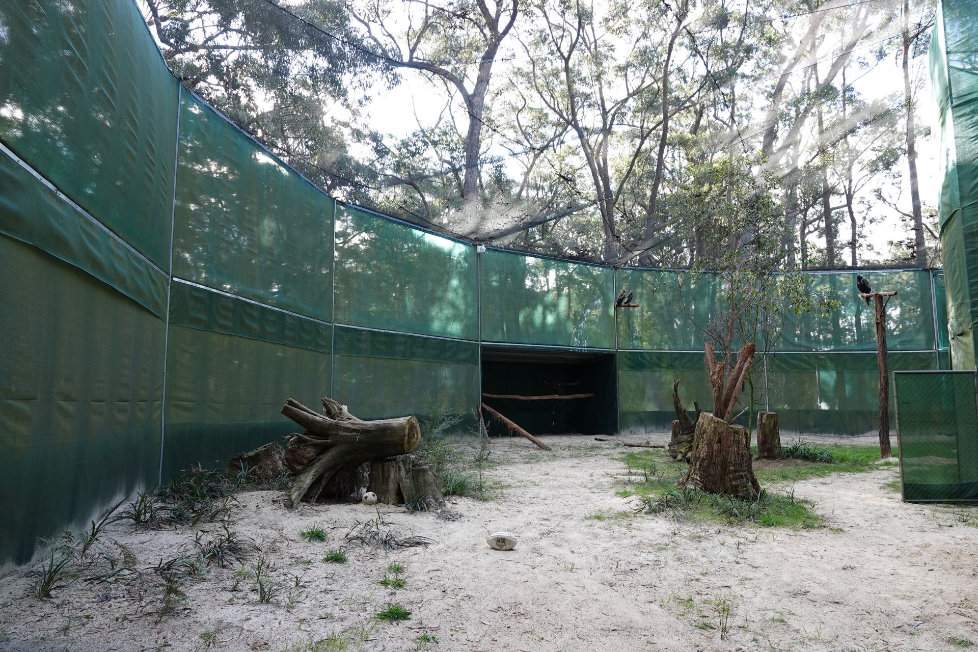 Aviary Design - Australian Raptor Care and Conservation Inc.