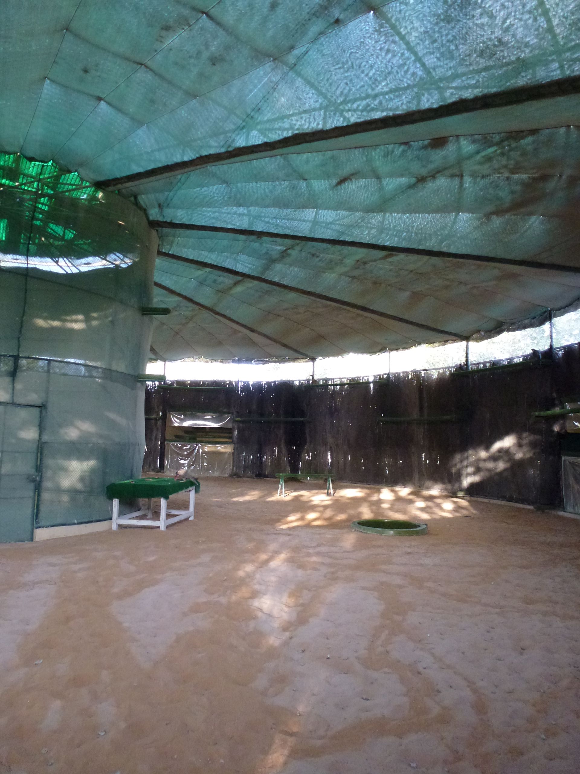 Aviary Design - Australian Raptor Care and Conservation Inc.