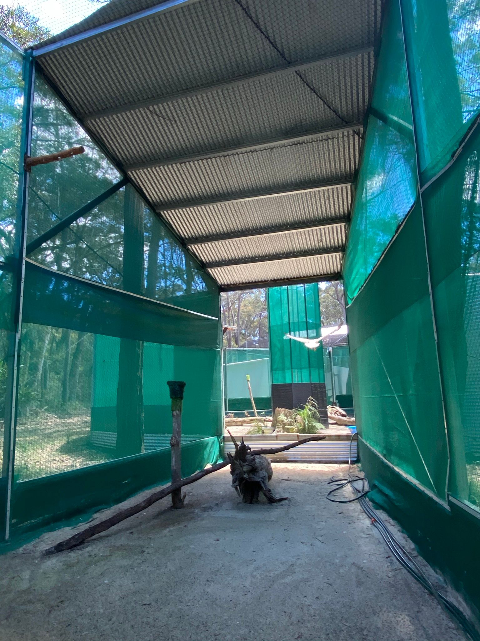 Aviary Design - Australian Raptor Care and Conservation Inc.
